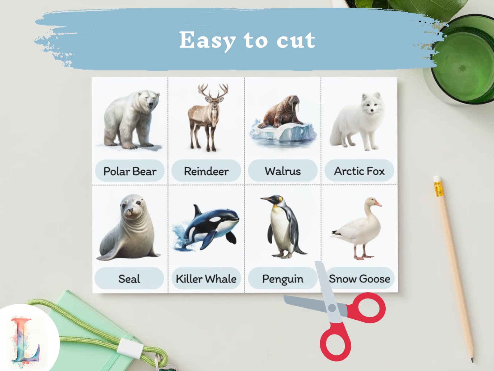 Flash Cards Arctic Animals English | Montessori Toddler Kids Learning ...