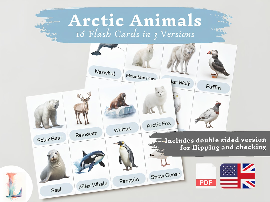 Flash Cards Arctic Animals English | Montessori Toddler Kids Learning ...