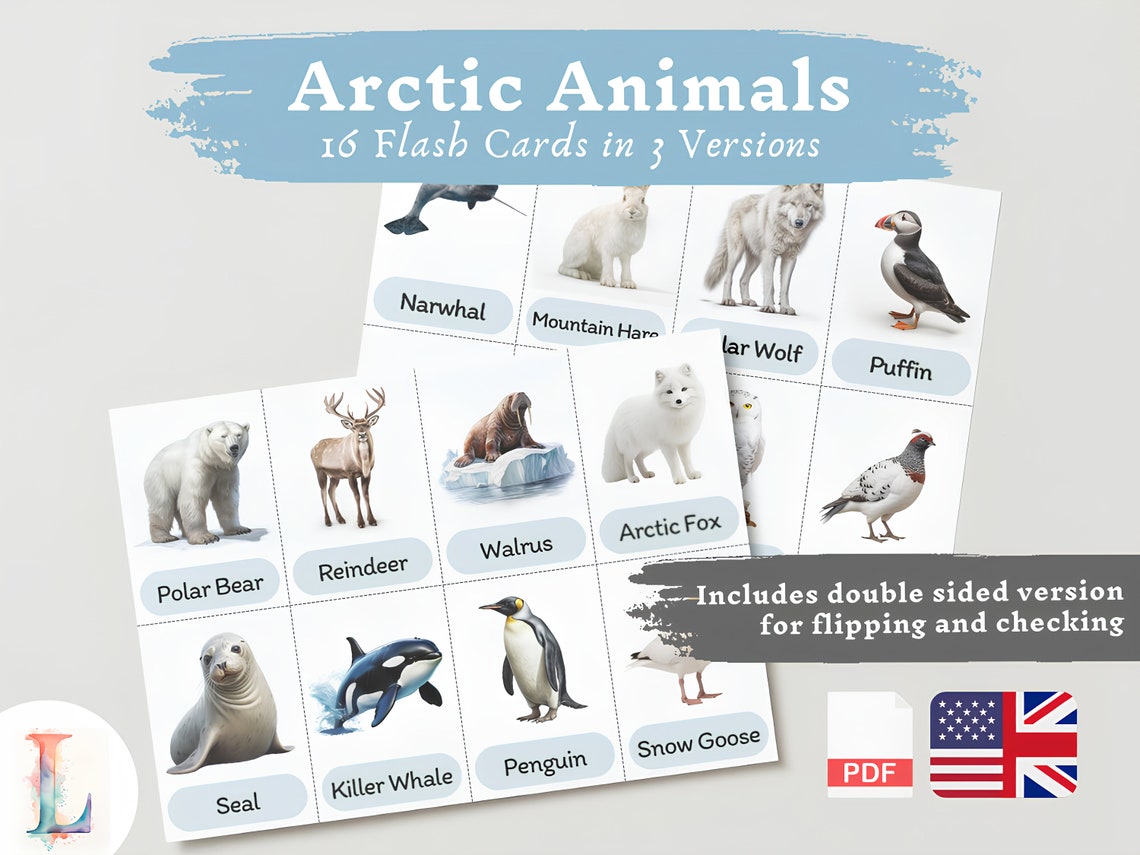 Flash Cards Arctic Animals English Montessori Toddler Kids Learning ...