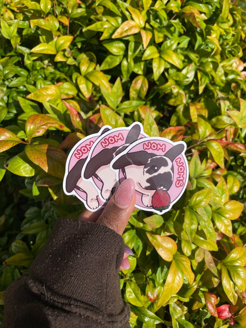 Solstice Bunny Nom Noms Vinyl Stickers// Vinyl 2.5in. Sticker - Etsy