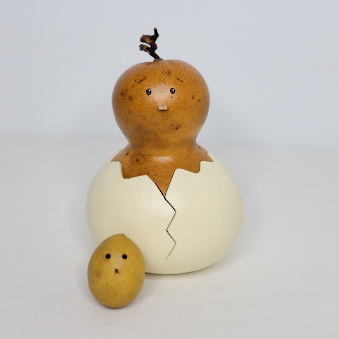 Meadowbrook Gourds Chick Chicken in Cracked With Egg Folk Art Gourd ...