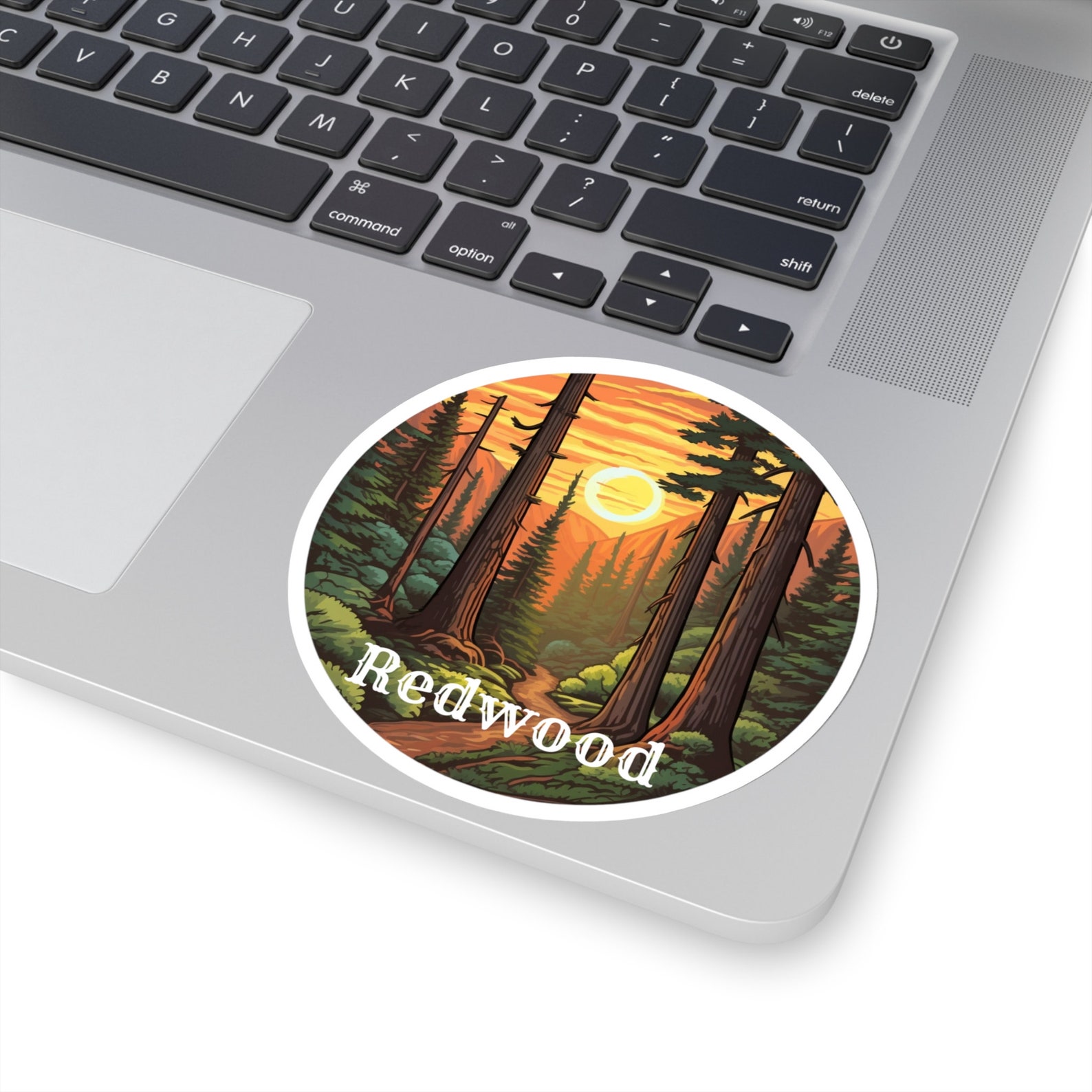 Redwood National Park Sticker - Vinyl Sticker #1 - Etsy