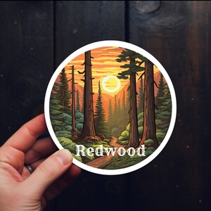 Redwood National Park Sticker - Vinyl Sticker #1 - Etsy