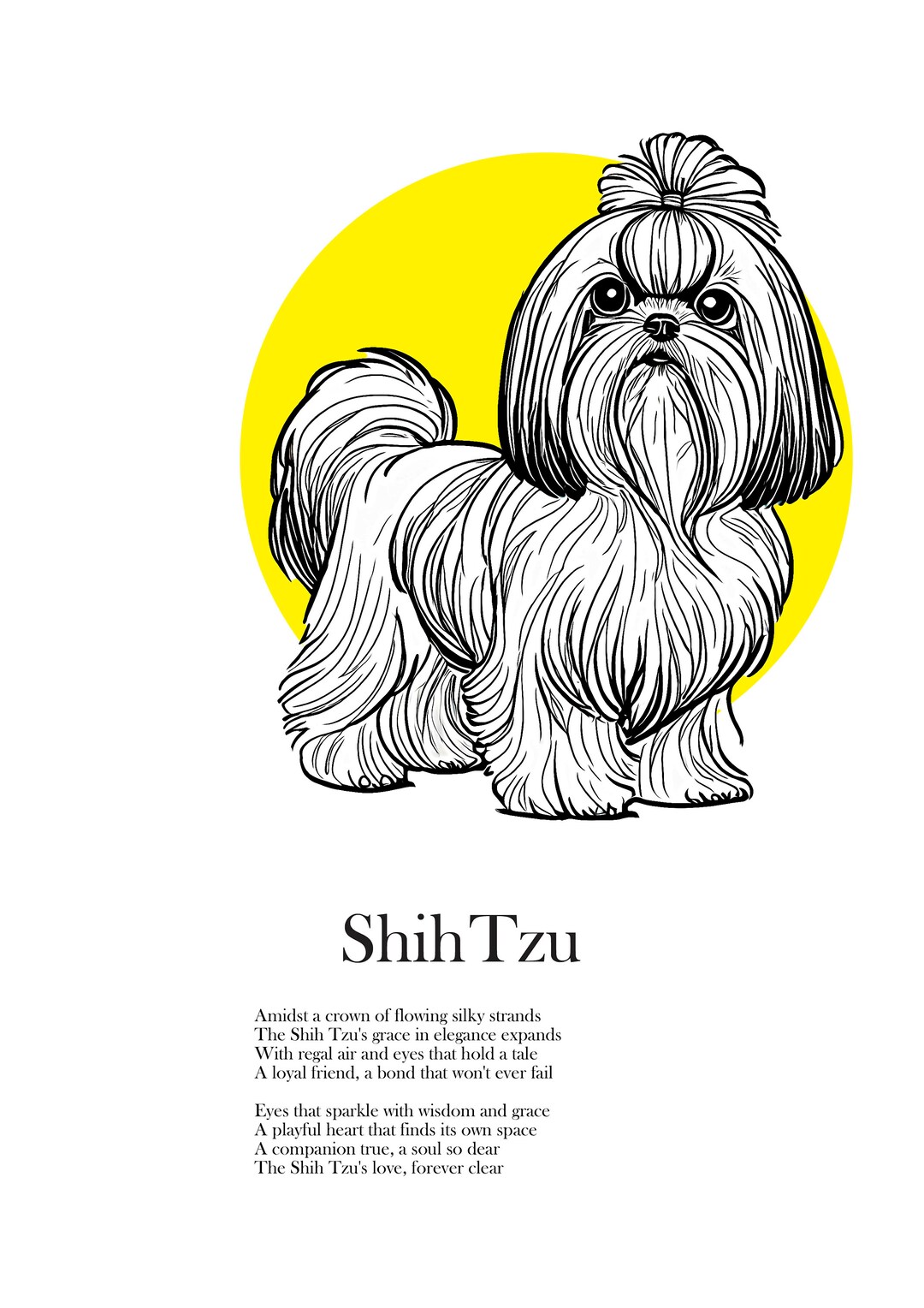 Original Shih Tzu Drawing, Fine Art Print and Mount Included - Etsy