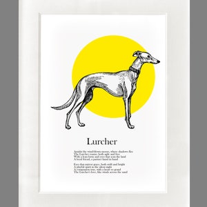Original Lurcher Drawing, Greyhound Cross Fine Art Print and Mount ...