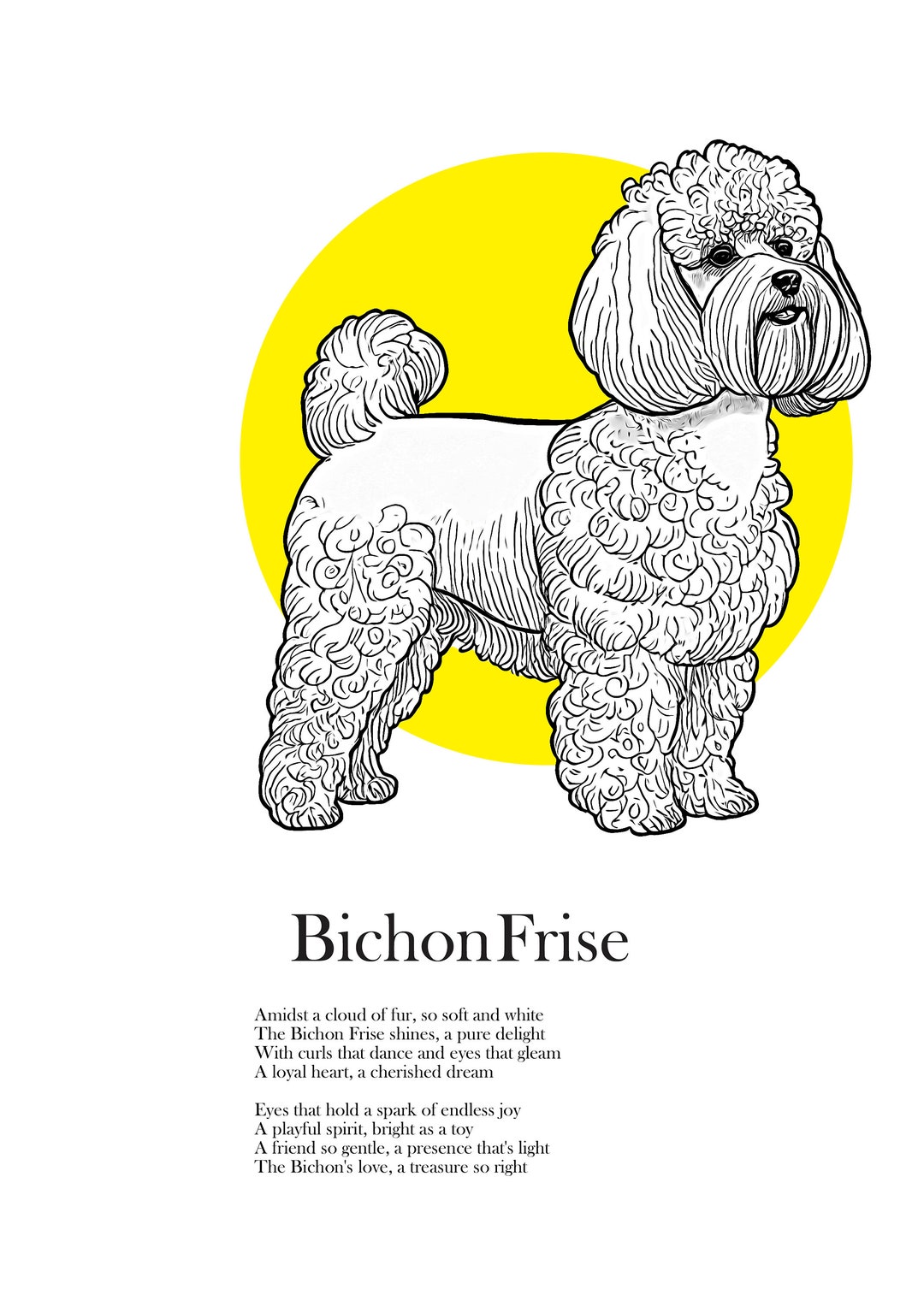 Original Bichon Frise Drawing, Fine Art Print and Mount Included - Etsy