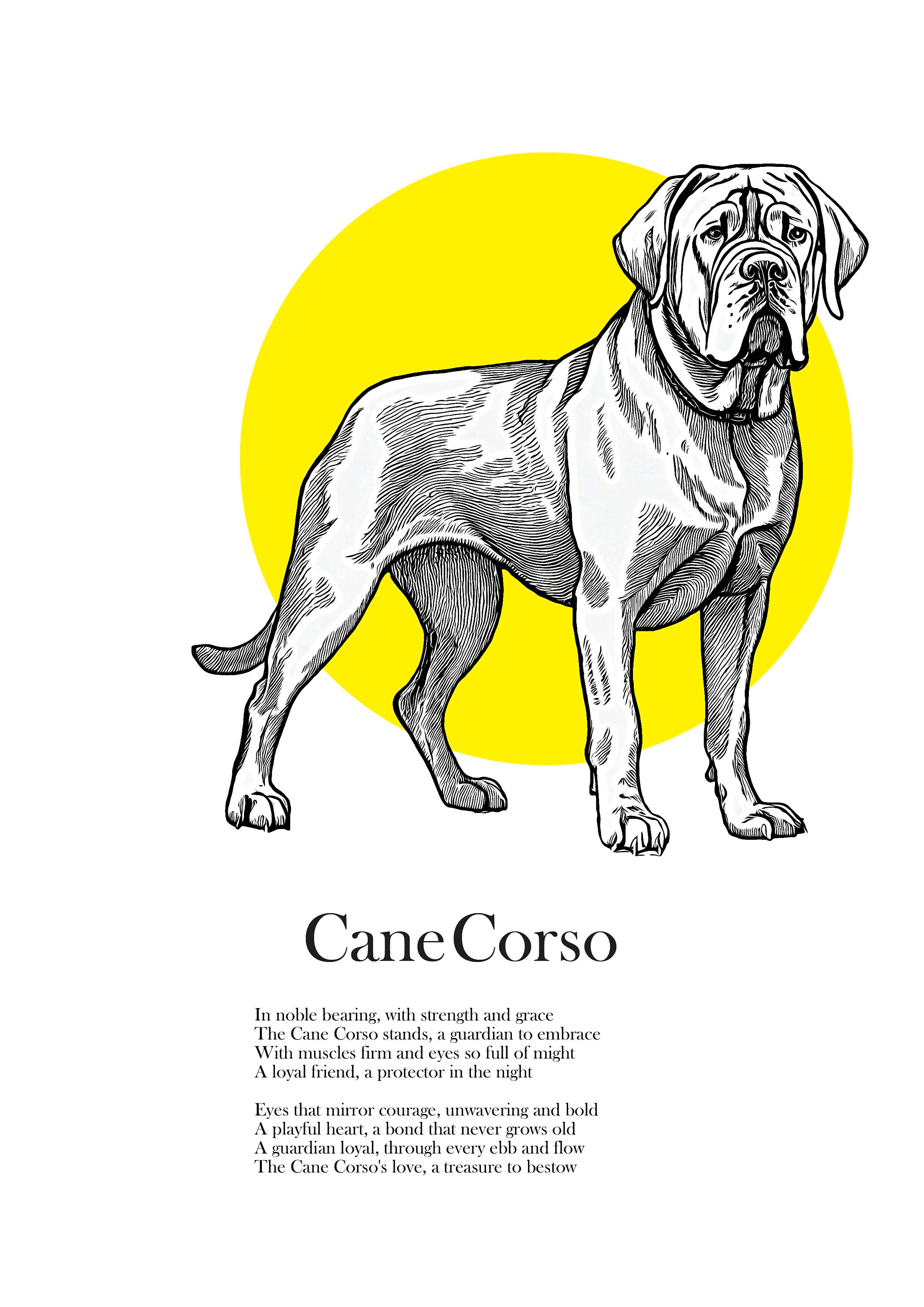 Original Cane Corso Drawing, Fine Art Print and Mount Included - Etsy UK