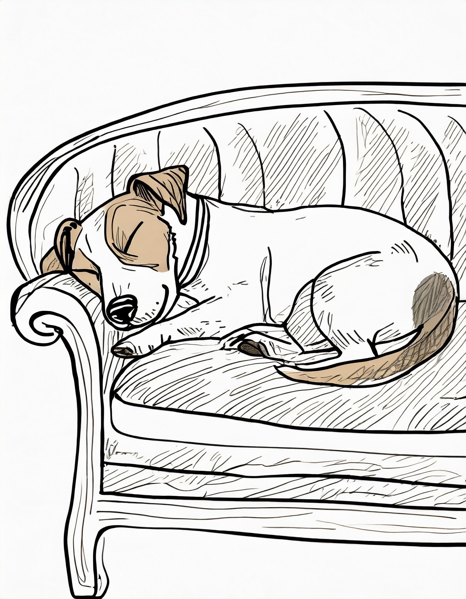 Line Drawing of Jack Russell Terrier Sleeping on a Couch, Sleeping Jack ...
