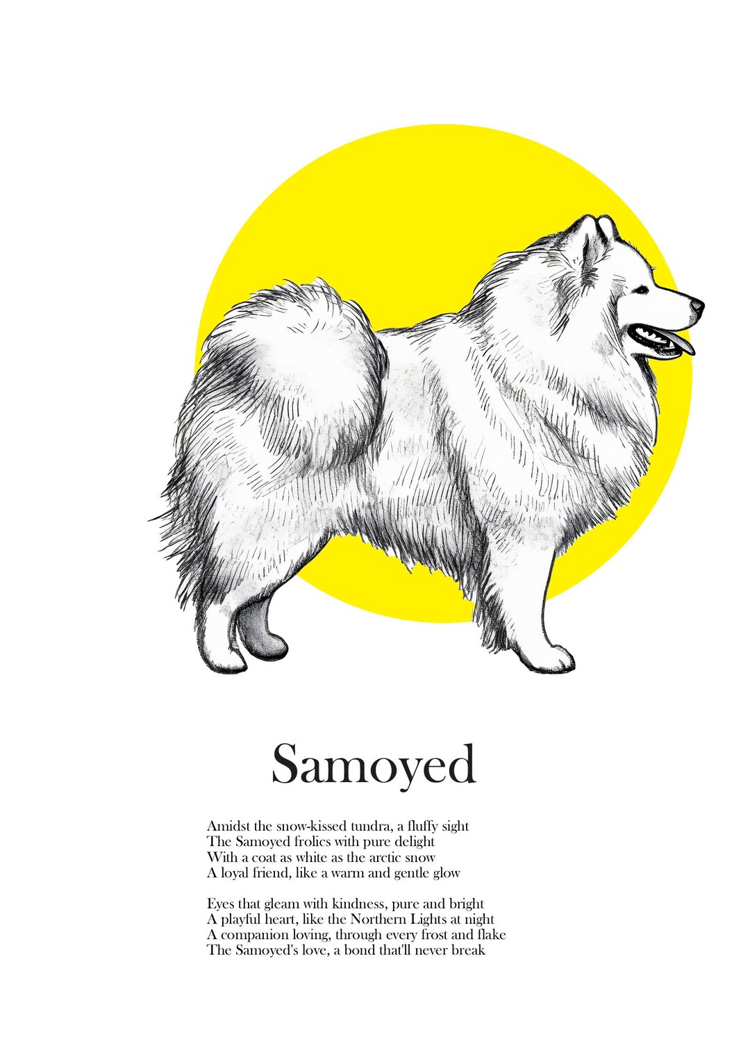 Original Samoyed Drawing, Fine Art Print and Mount Included - Etsy
