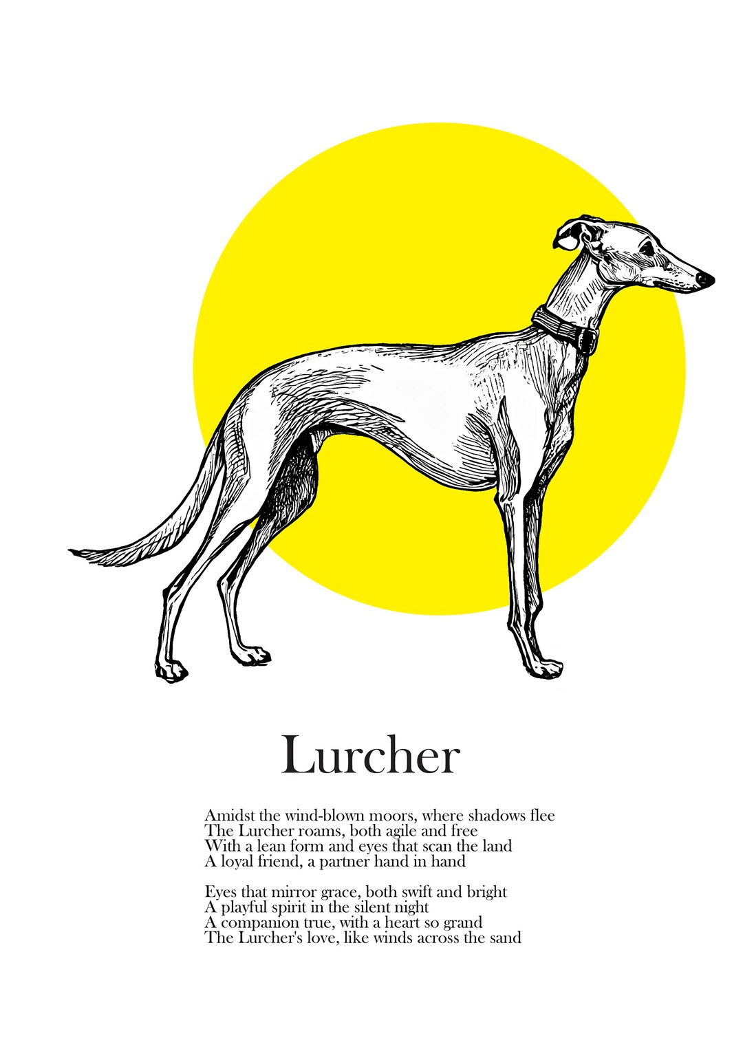 Original Lurcher Drawing, Greyhound Cross Fine Art Print and Mount ...