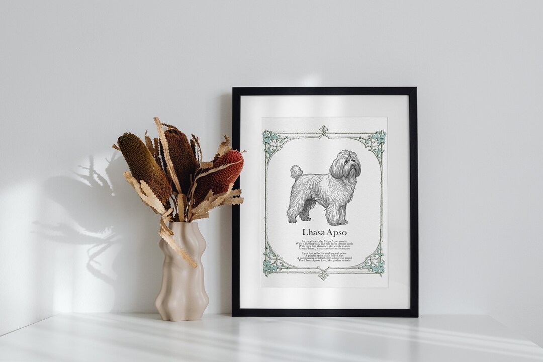 Vintage Lhasa Apso Drawing Illustrated Dog Poem Antique - Etsy