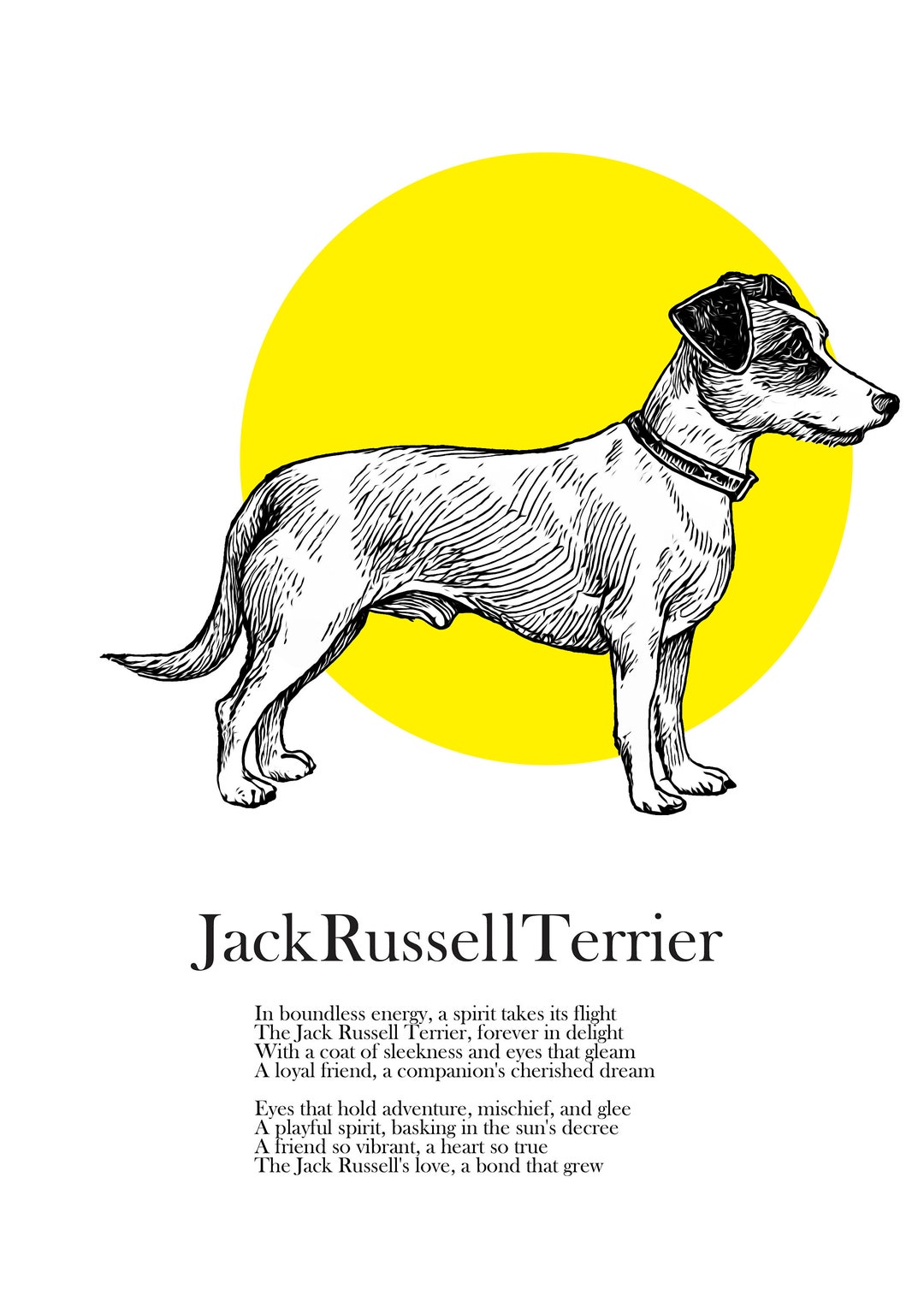 Original Jack Russell Terrier Drawing, Fine Art Print and Mount ...