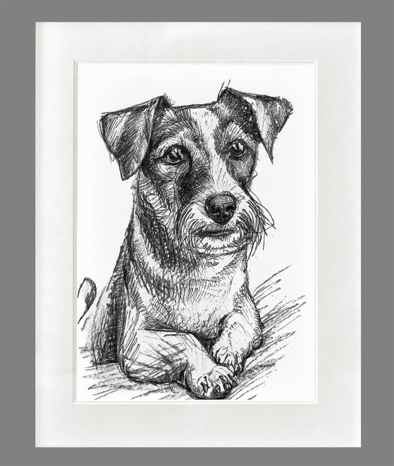 Charcoal Drawing of Jack Russell Terrier, Print of Original Drawing - Etsy