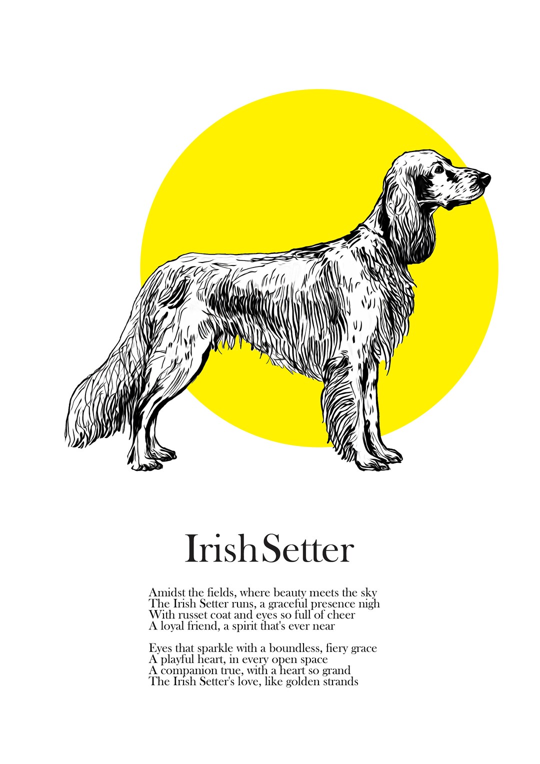 Original Irish Setter Drawing, Red Setter Fine Art Print and Mount ...