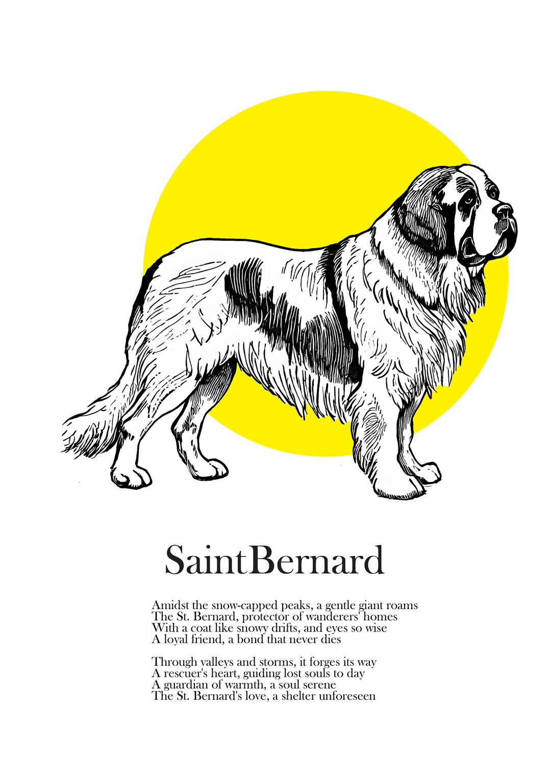 Original St. Bernard Drawing, Saint Bernard Fine Art Print and Mount ...