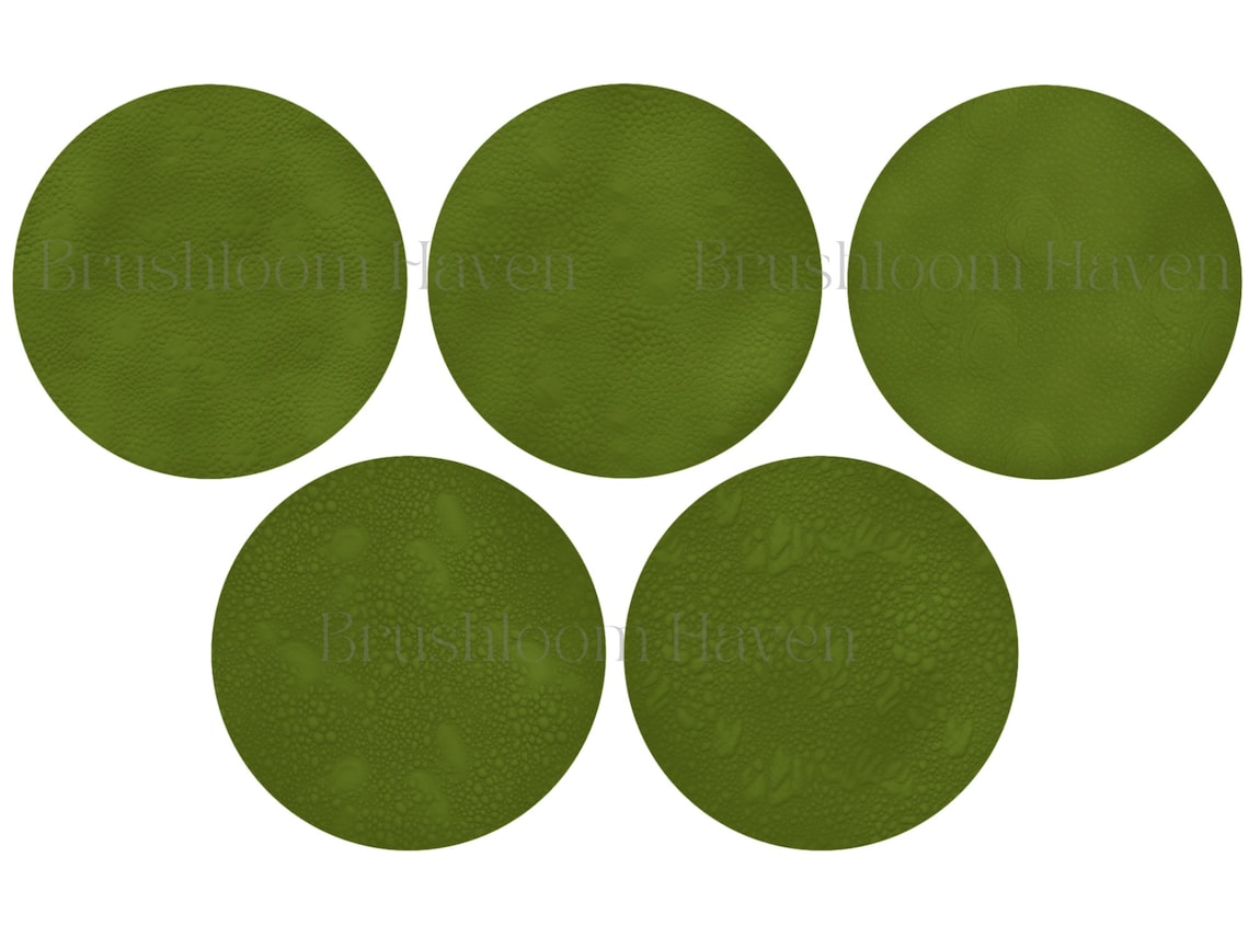 Amphibian Skin Textures - Digital Brushes Set for Procreate and ...