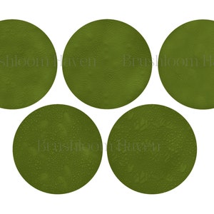 Amphibian Skin Textures - Digital Brushes Set for Procreate and ...