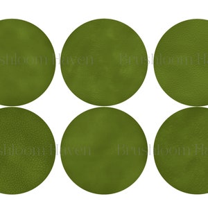 Amphibian Skin Textures - Digital Brushes Set for Procreate and ...