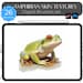 Amphibian Skin Textures - Digital Brushes Set for Procreate and ...