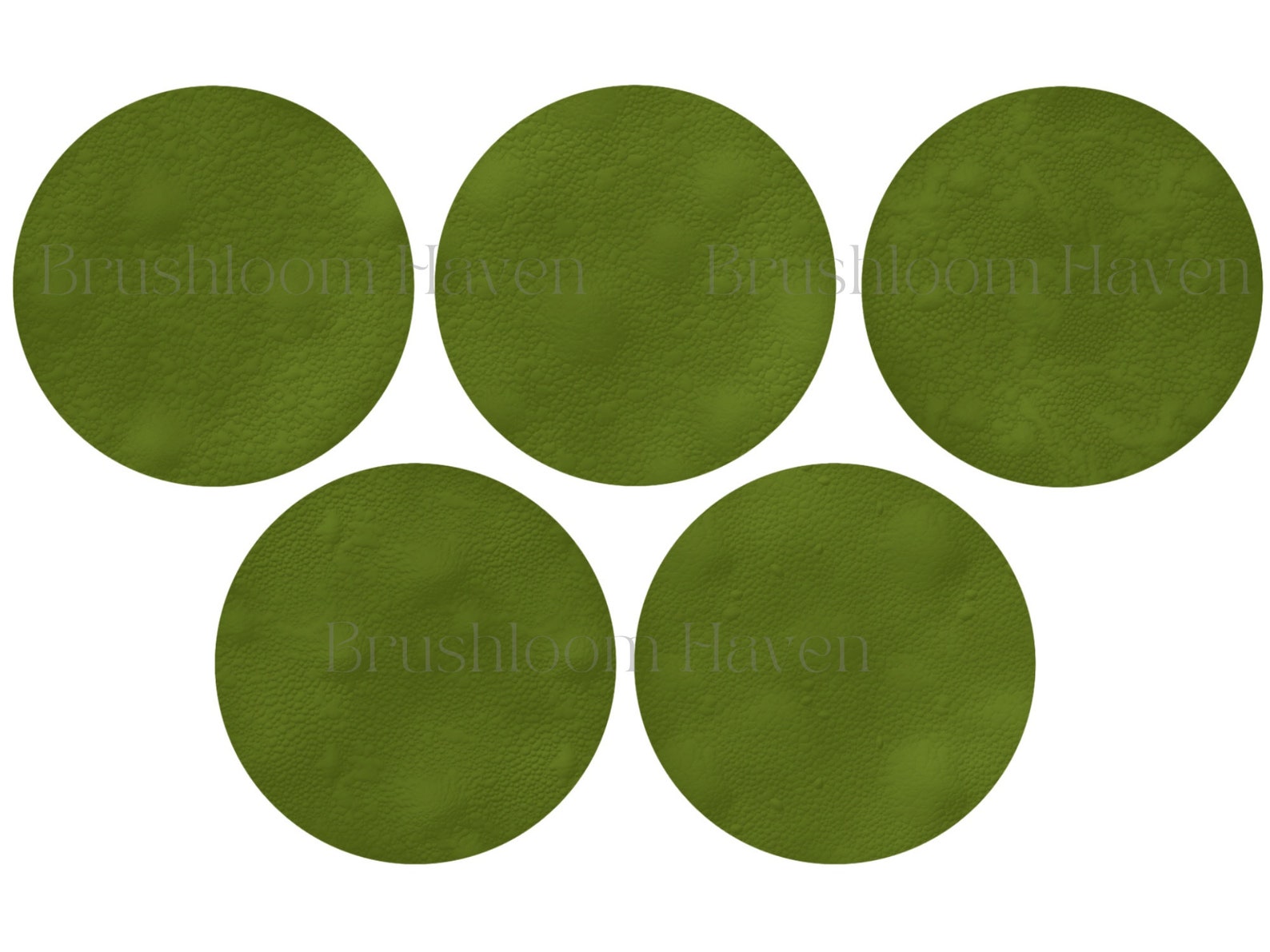 Amphibian Skin Textures - Digital Brushes Set for Procreate and ...