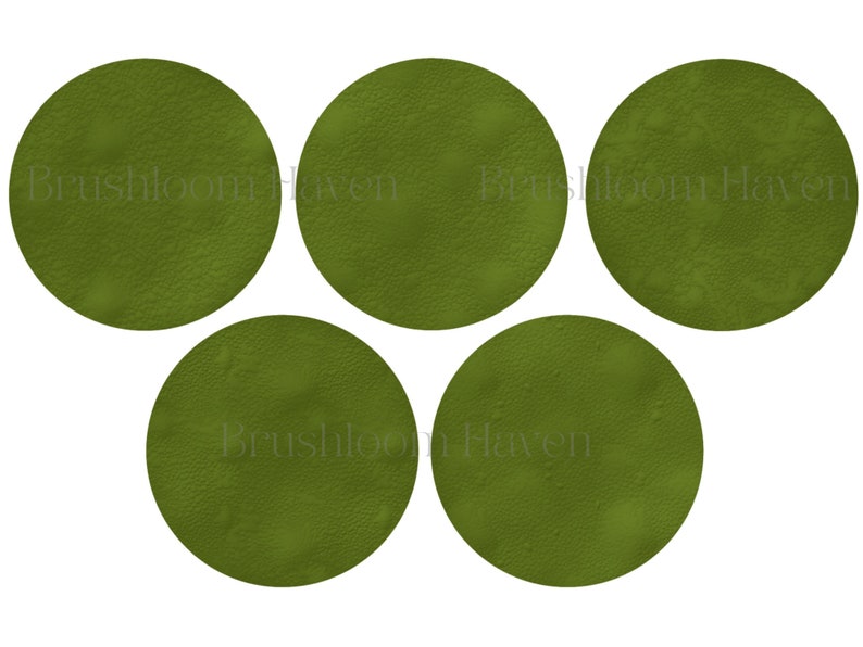 Amphibian Skin Textures - Digital Brushes Set for Procreate and ...