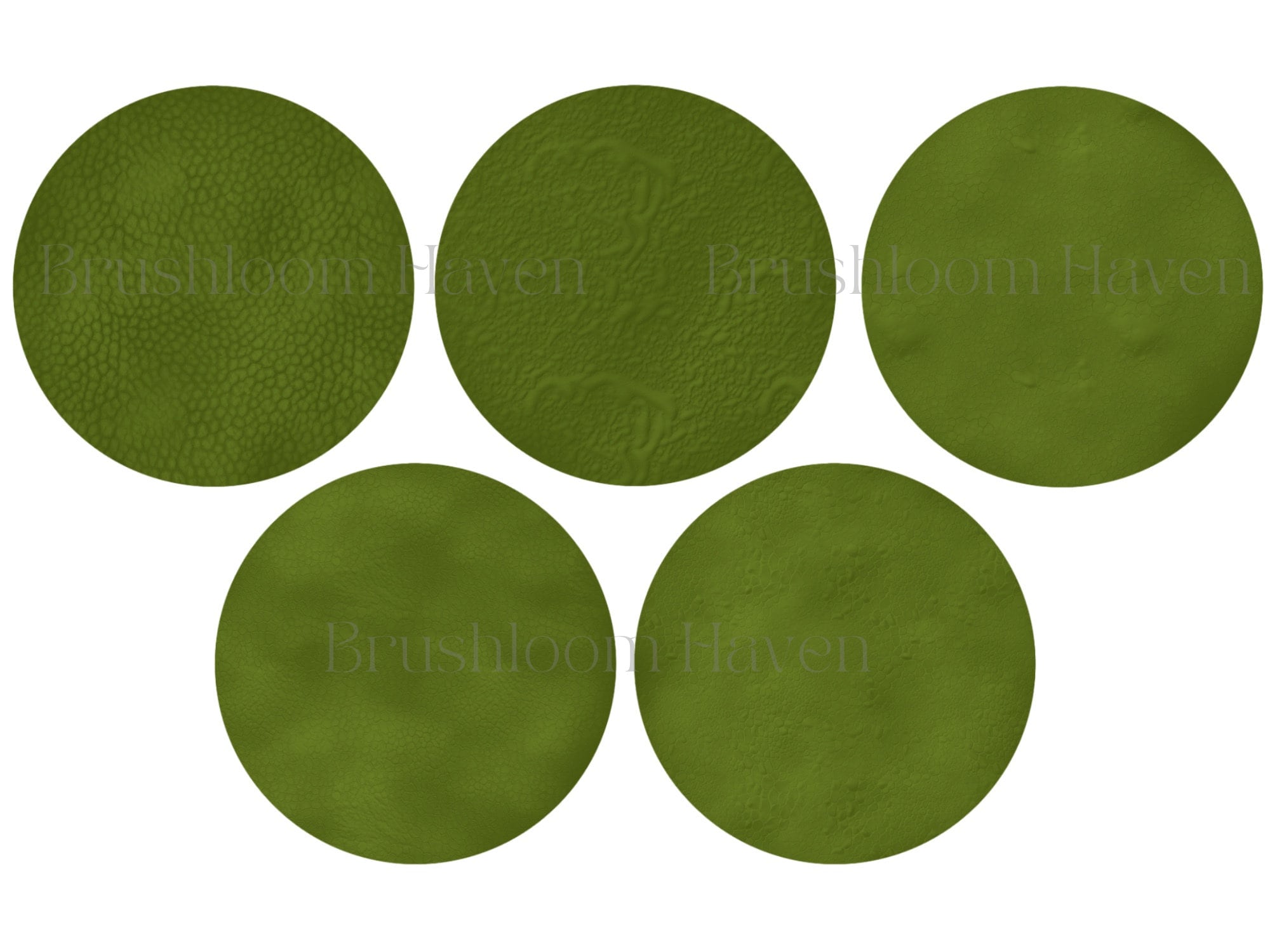 Amphibian Skin Textures - Digital Brushes Set for Procreate and ...