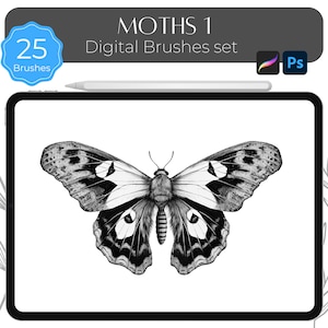 Moths 1 - Digital Brushes Set for Procreate and Photoshop - Etsy