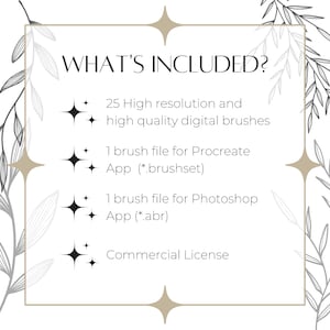 Fantasy Maps 1 - Digital Brushes Set for Procreate and Photoshop - Etsy