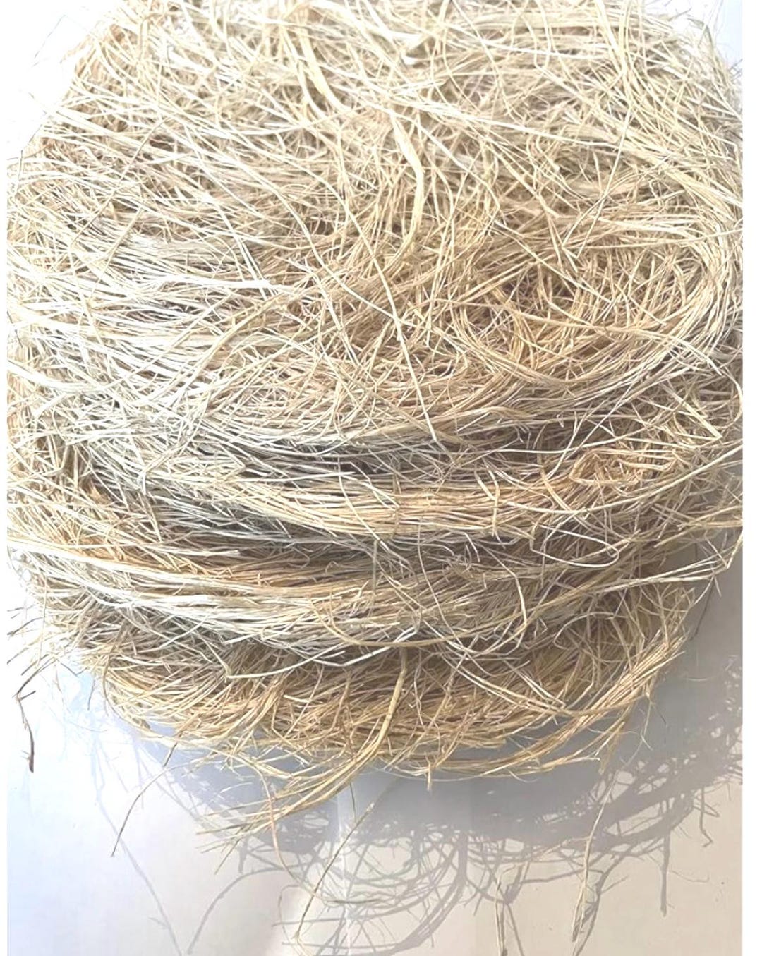 Kain Kain/ Native Sponge - Etsy