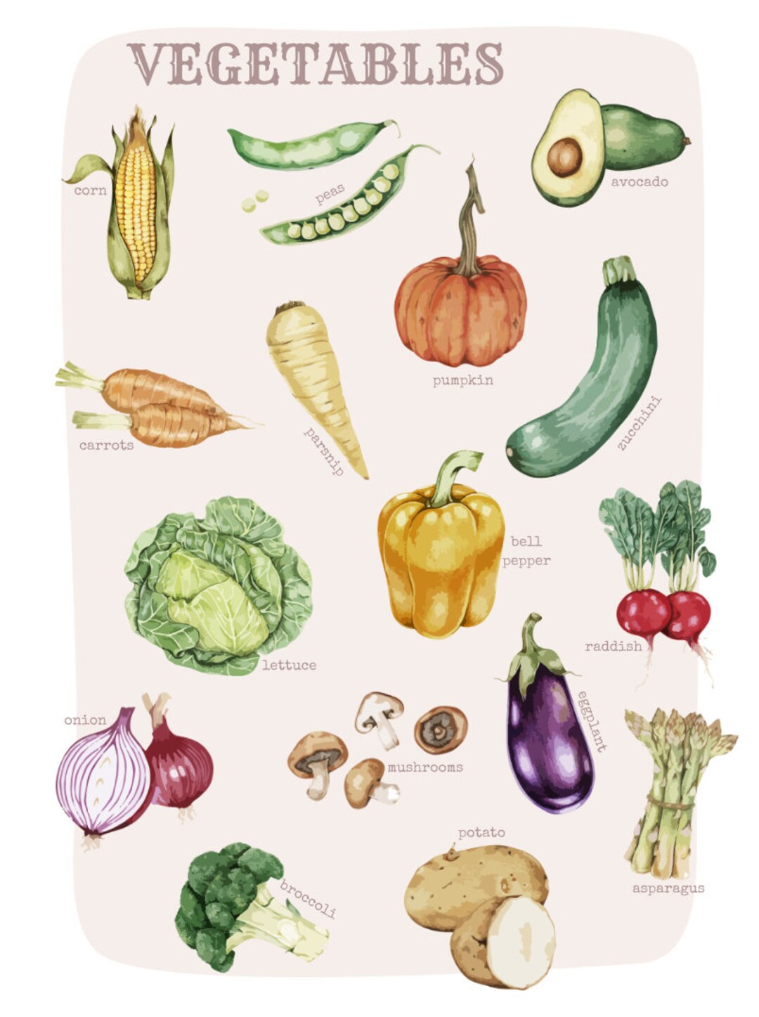 Montessori Vegetable Poster and Cards *printable* - Etsy