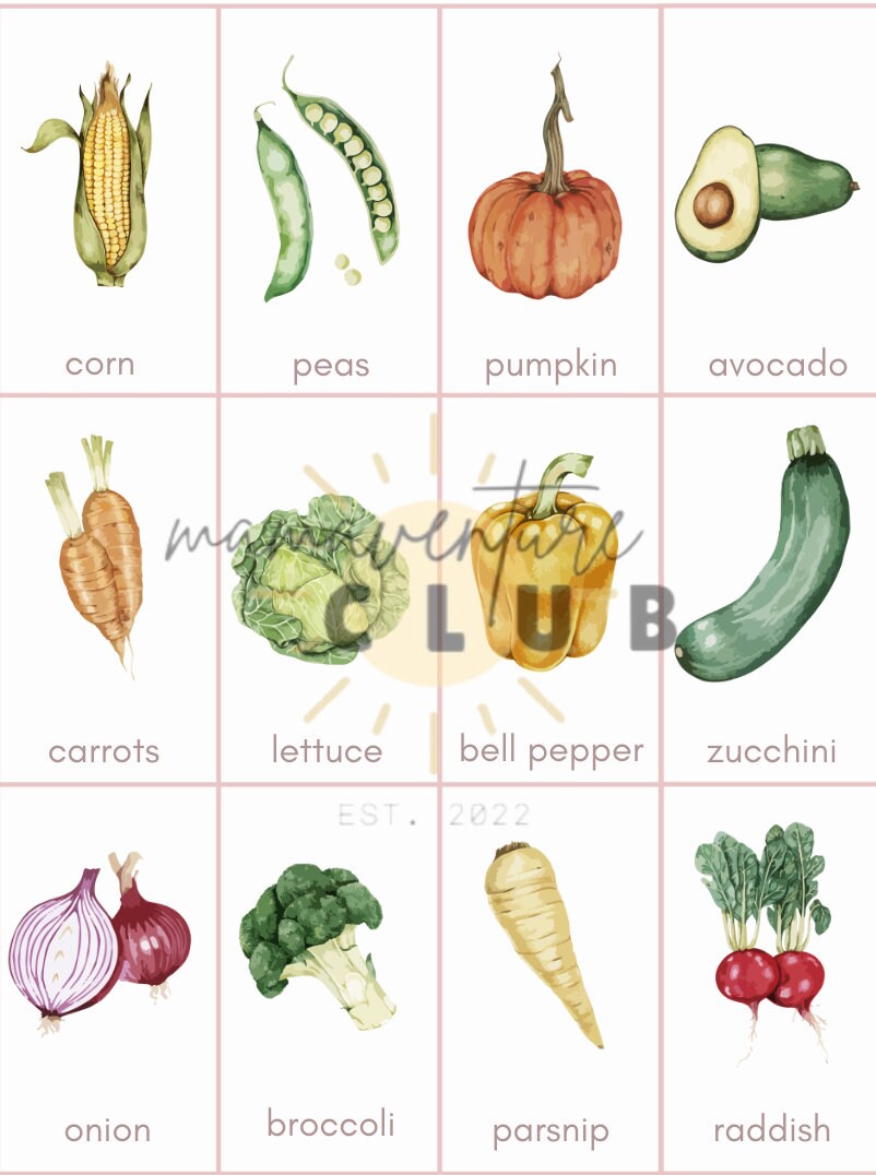 Montessori Vegetable Poster and Cards *printable* - Etsy