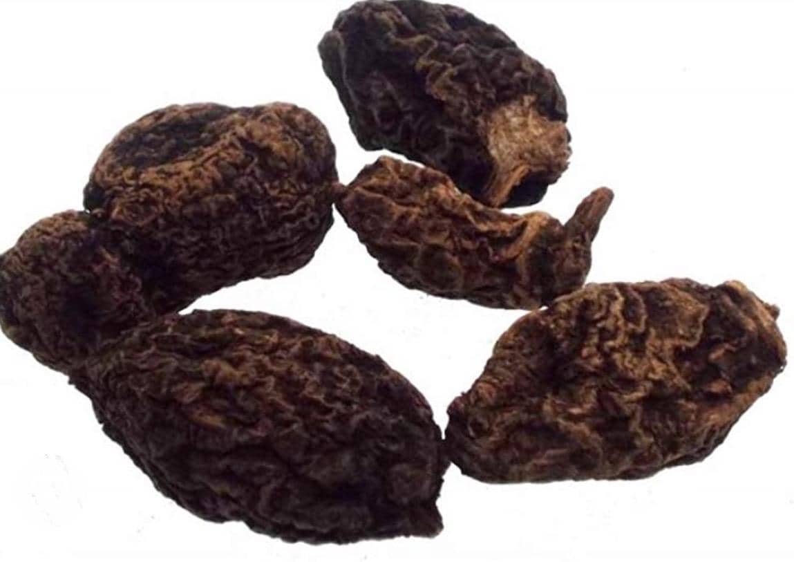 High John the Conqueror Root | Conjure | Hoodoo | Spells - Etsy