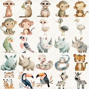Jungle Safari Animals Clipart Bundle, Cute Safari Animals, Baby Shower ...