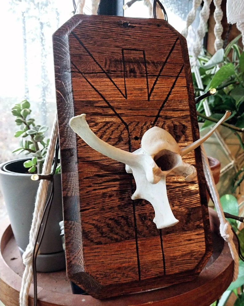 Norse Home Protection Rune Deer Vertebrae Wall Hanger - Etsy