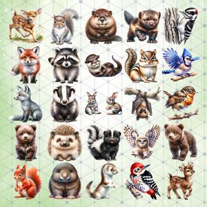 Woodland Animal Clipart, Forest Animal Clipart, Nursery Decor, Nursery ...