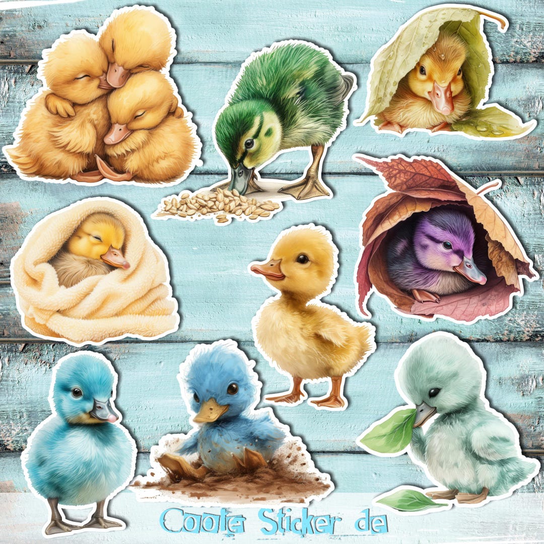 Baby Duck Stickers, Baby Duck Chicks Ducklings Duck Stickers Matt - Etsy