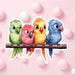 Parrot Stickers, Birds, Funny Parrots, Cute Parrots in Many Sizes - Etsy