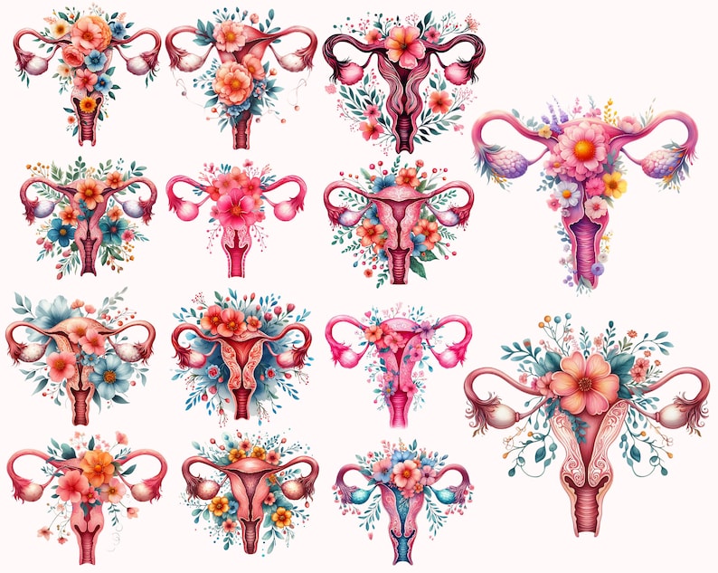 Floral Uterus PNG Clipart: Watercolor Women's Rights Art (digital ...