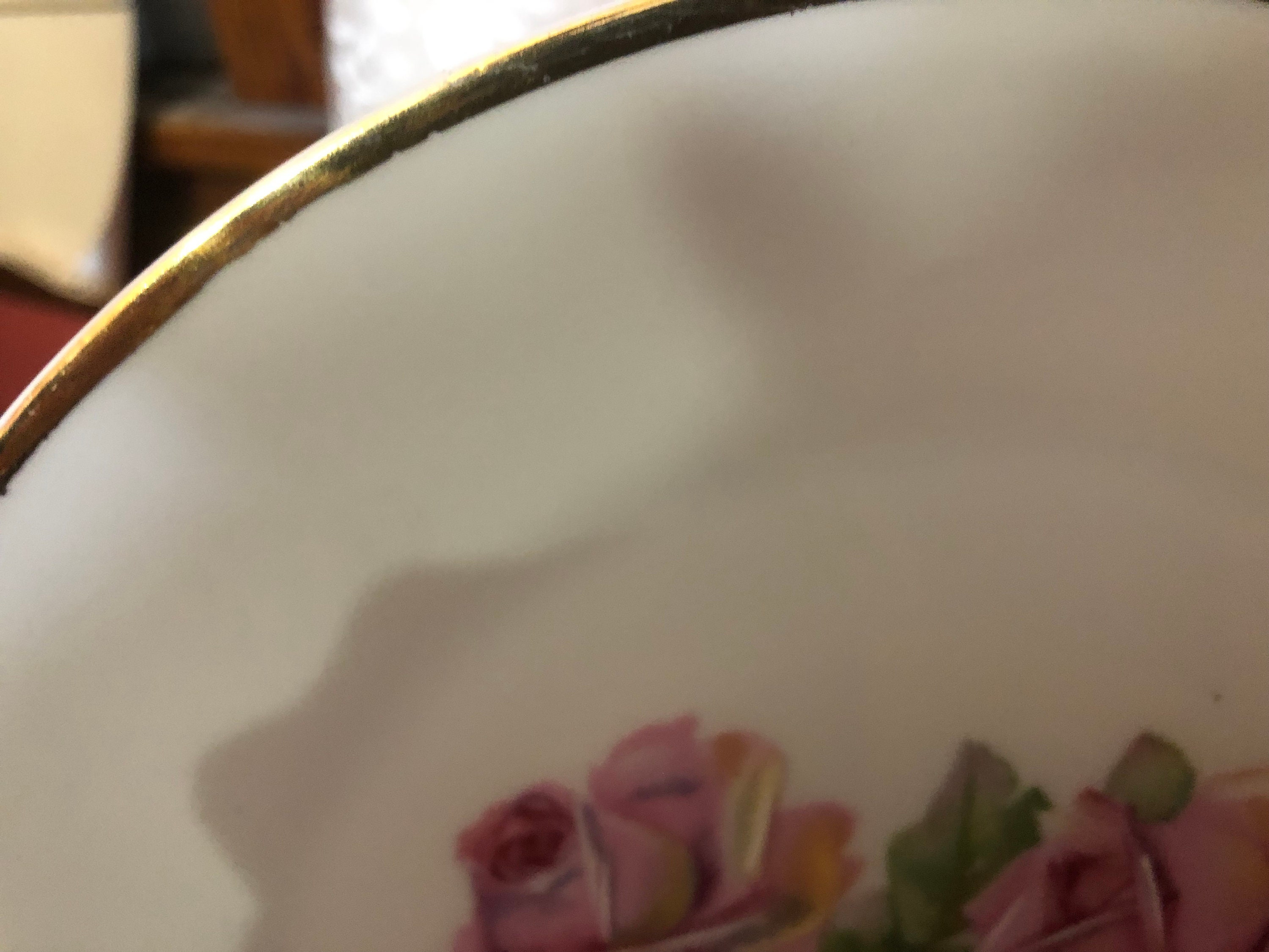 Late 1800s Vintage Silesia CT Altwasser German Porcelain Pink Roses ...