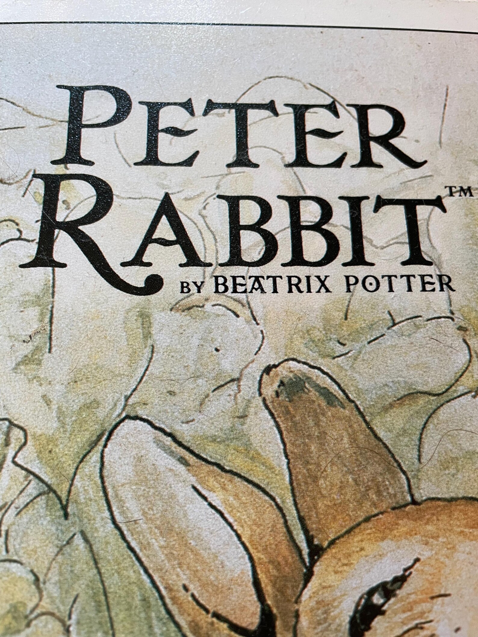 Beatrix Potter Peter Rabbit Metal Wall Decor Sign 12x16” Mr. Mcgregor ...