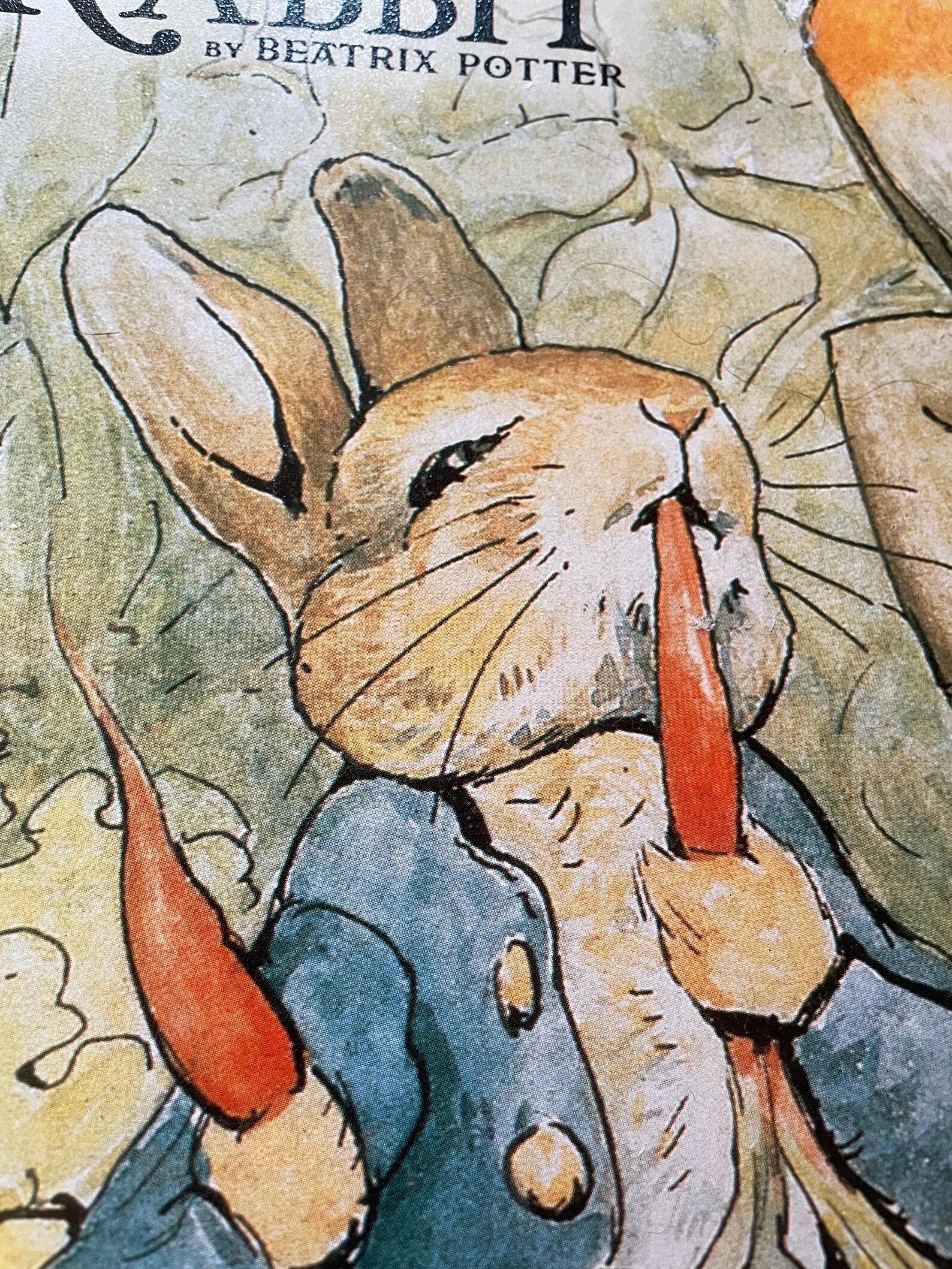 Beatrix Potter Peter Rabbit Metal Wall Decor Sign 12x16” Mr. Mcgregor ...