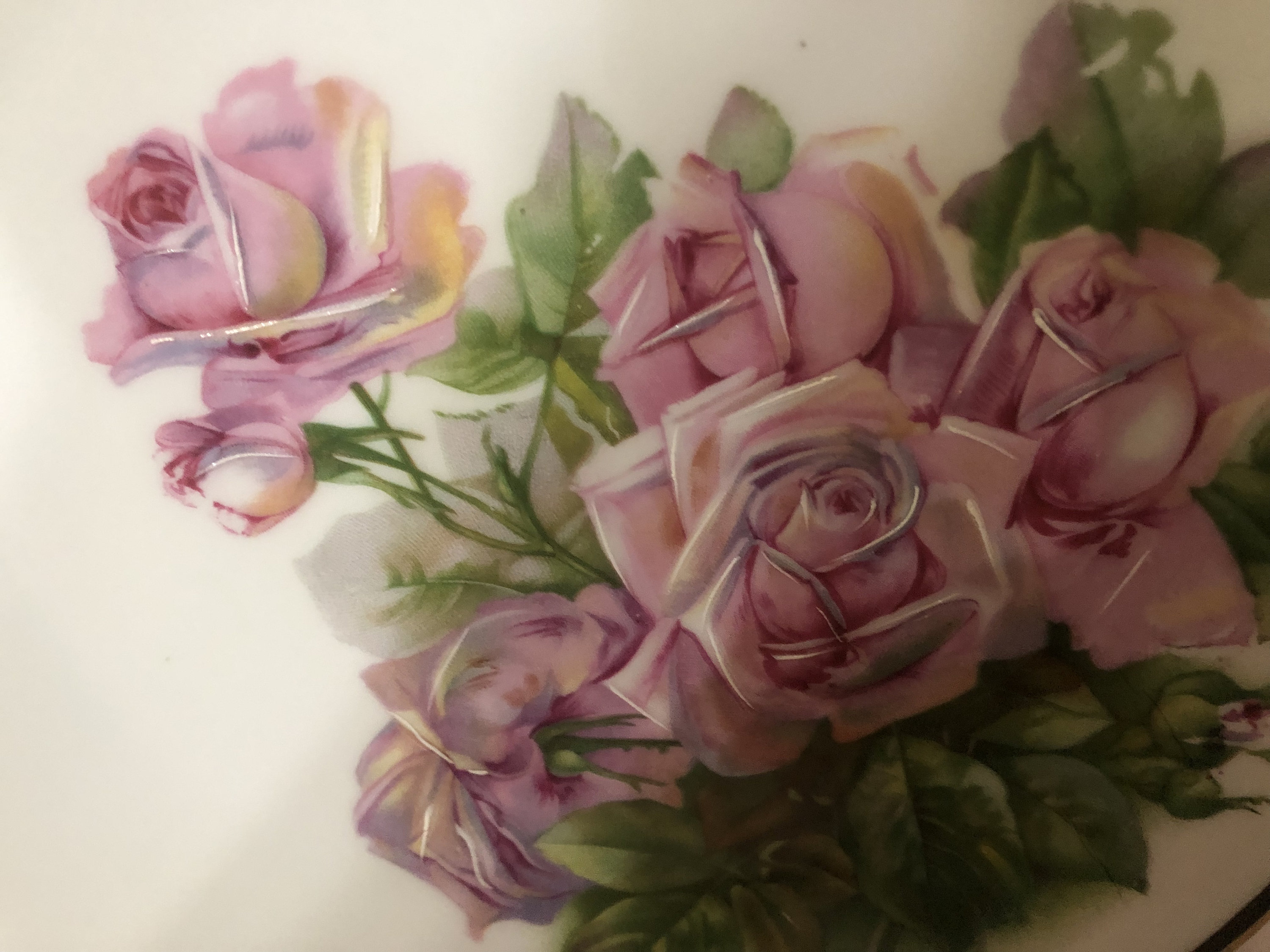 Late 1800s Vintage Silesia CT Altwasser German Porcelain Pink Roses ...