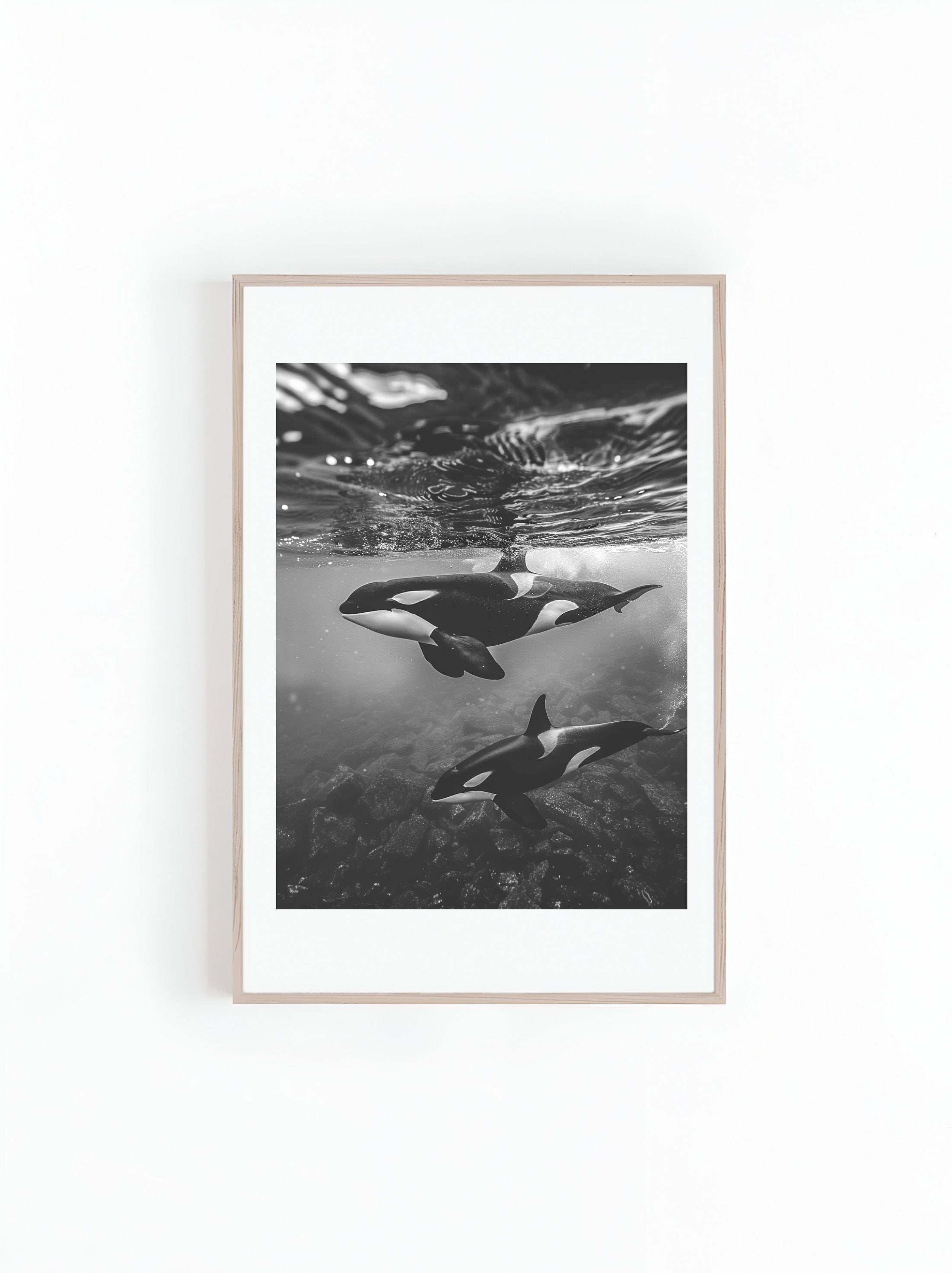 Black and White Photograph of Orca Whale, Orca Whale Photo, Marine ...