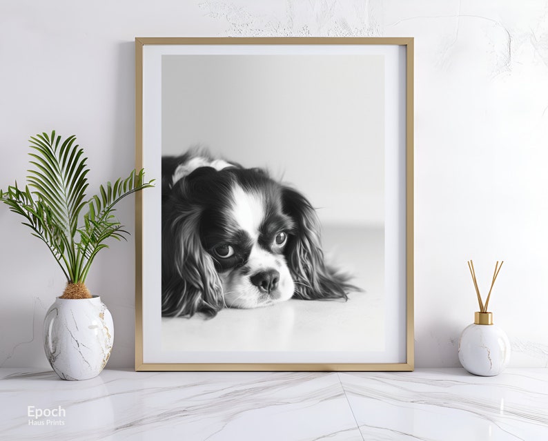 Cavalier King Charles Spaniel Photo Prints, Black and White Puppy Photo ...