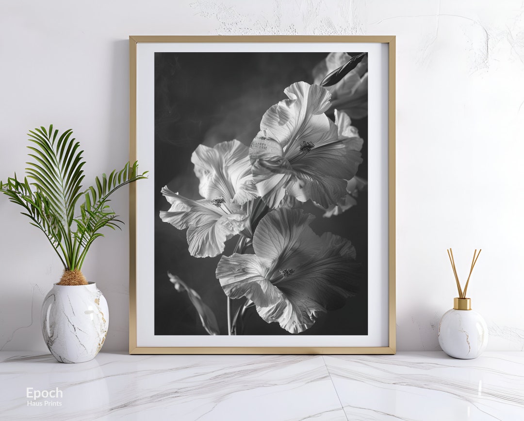 Hibiscus Flower Photo in Black and White, Floral Wall Art, Hibiscus ...
