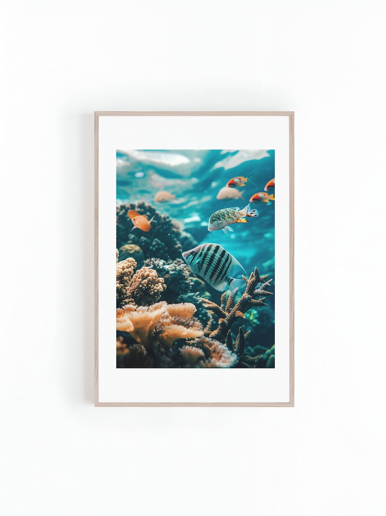 Under Water Photo of Multibar Angel Fish & Coral Reef, Wall Arts, Large ...