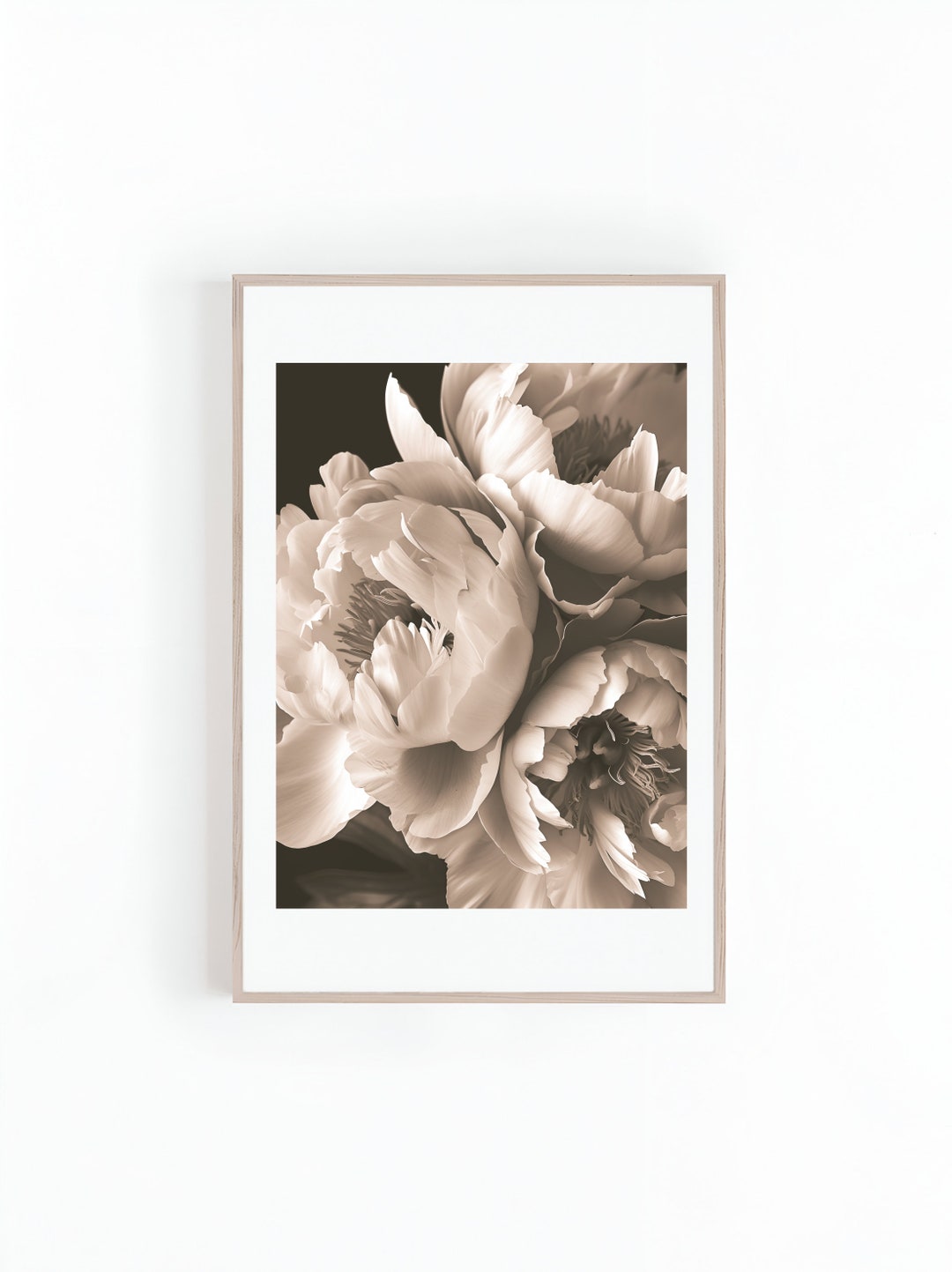 Peony Flower Bouquet in Sepia | Sepia Photos | Floral Wall Art ...