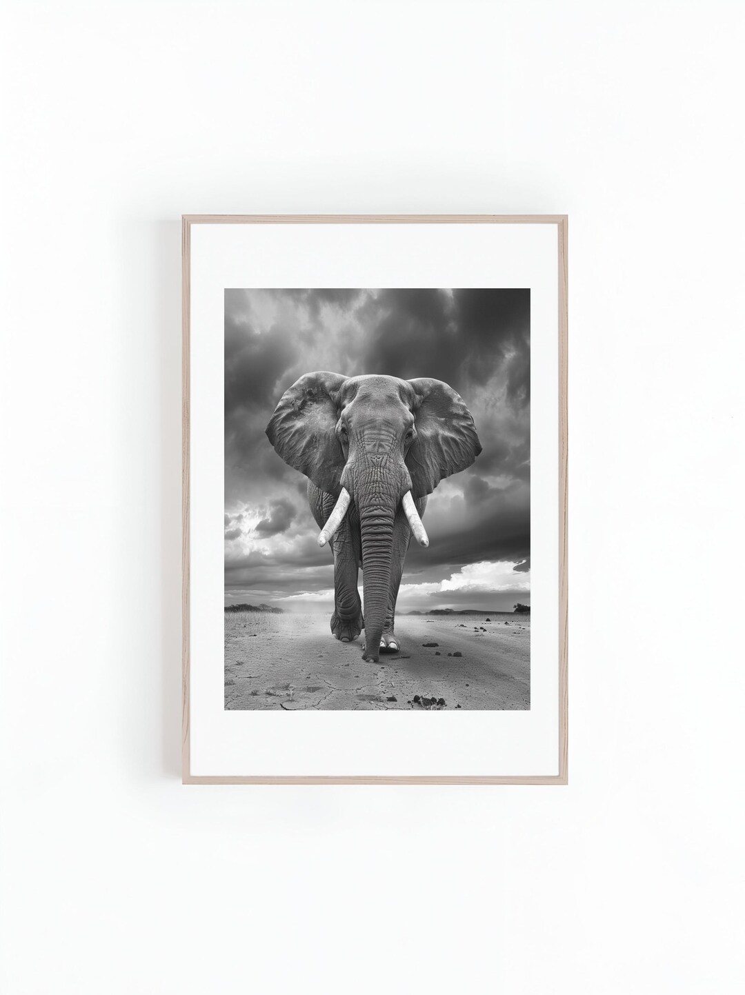 Photo of African Elephant in Black and White, Elephant Photos, Safari ...