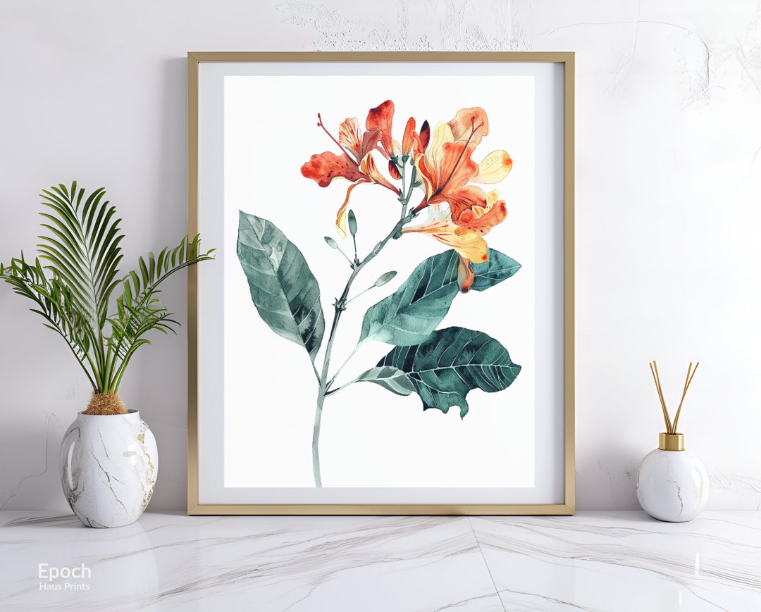 Hibiscus Botanic Flower Print, Floral Wall Art, Wildflower Nursery ...
