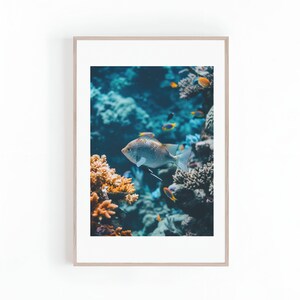 Unterwasser Foto von Multibar Angel Fisch & Korallenriff, Wandkunst ...